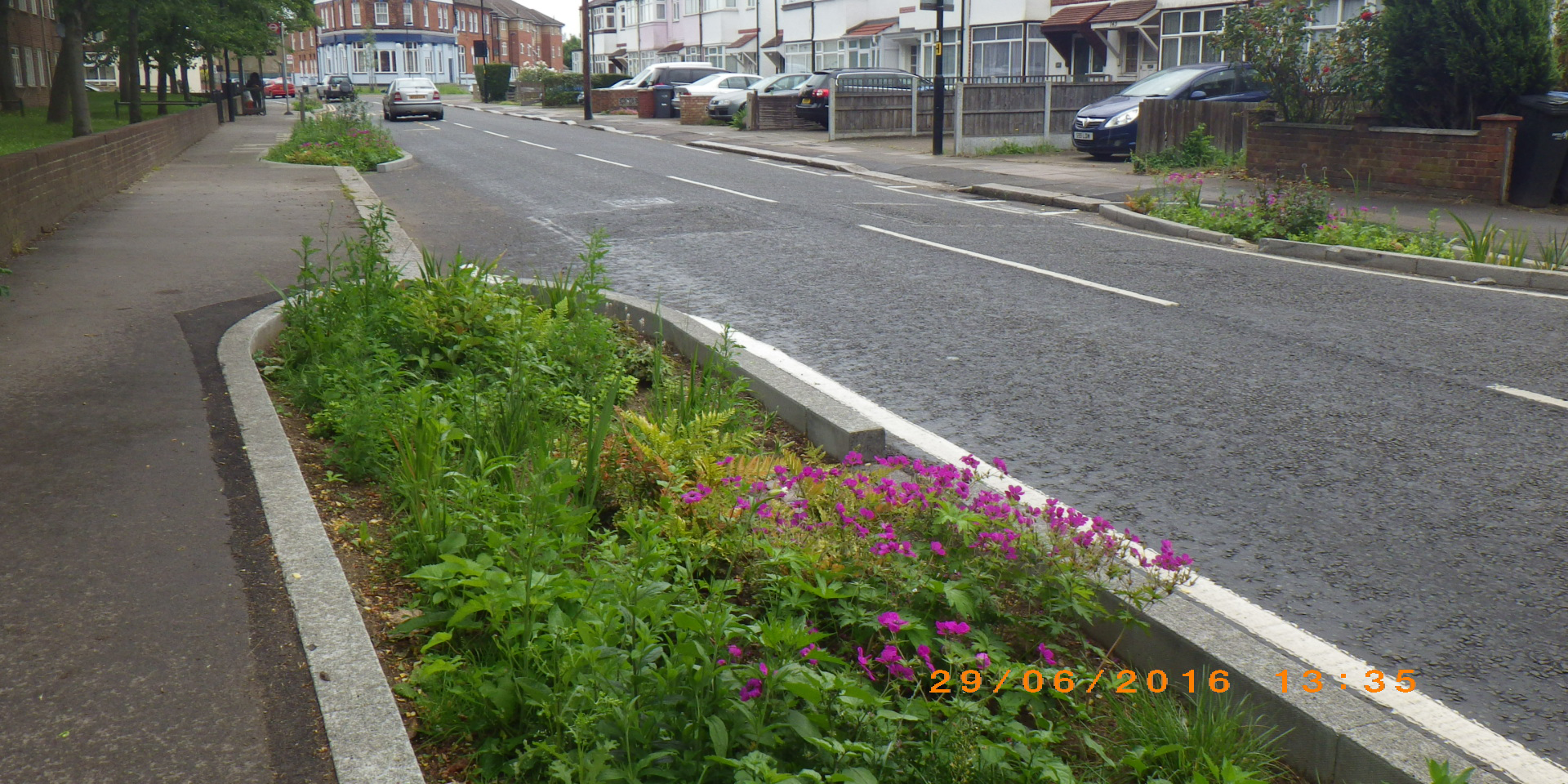 Alma Road SuDS project | London City Hall