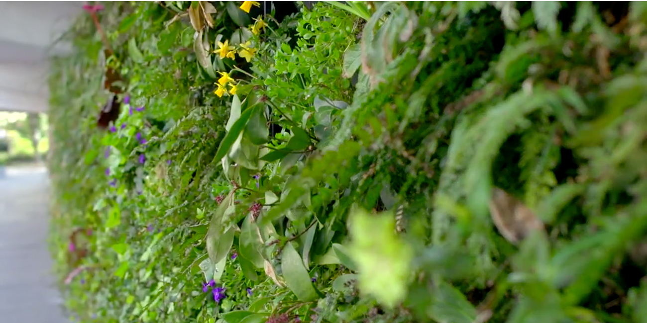 London Prepared Update | London City Hall