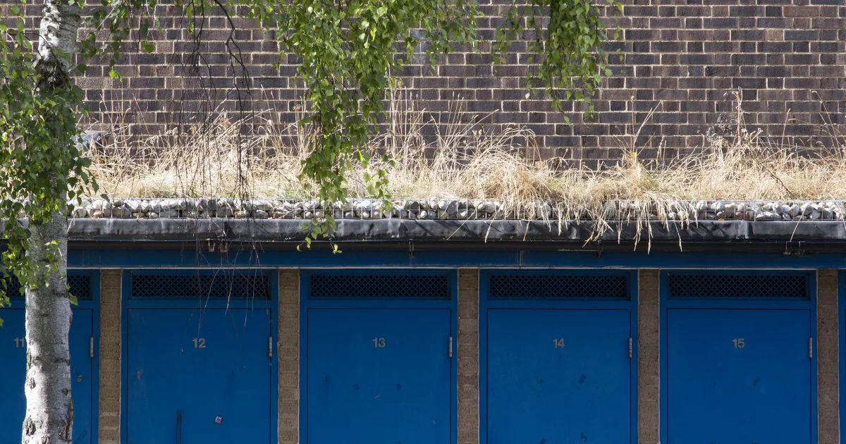 Lessons learned from the five SuDS projects | London City Hall