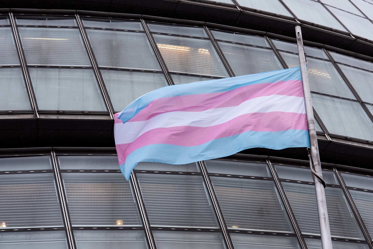 Celebrating Transgender Awareness Week | London City Hall