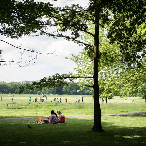 A new Centre for Excellence for London’s green spaces | London City Hall